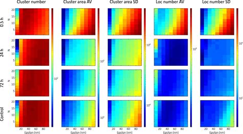Cluster Parameter Based Dbscan Maps For Image Characterization Computational And Structural