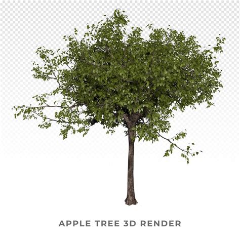 Premium Psd Apple Tree 3d Render