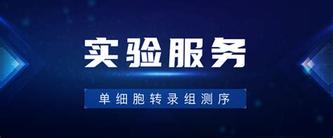 单细胞转录组测序技术全流程解析 知乎