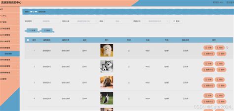 springboot计算机毕业设计流浪宠物救助中心nt8i8 csdn博客