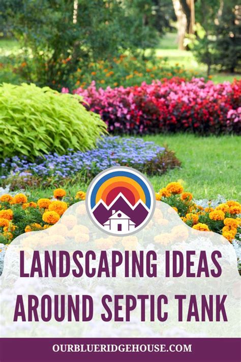 Creative Landscape Designs Over Septic Tanks For Functional Beauty