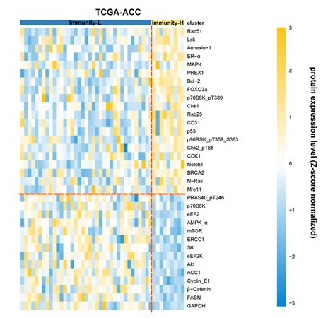 Differently Expressed Proteins Between The Immune Subtypes Of Acc