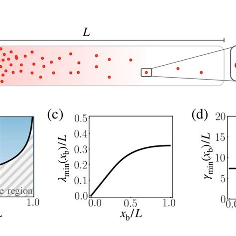 Fig S1 Speed Precision Cost Trade Off For The Reversible Morphogen Download Scientific