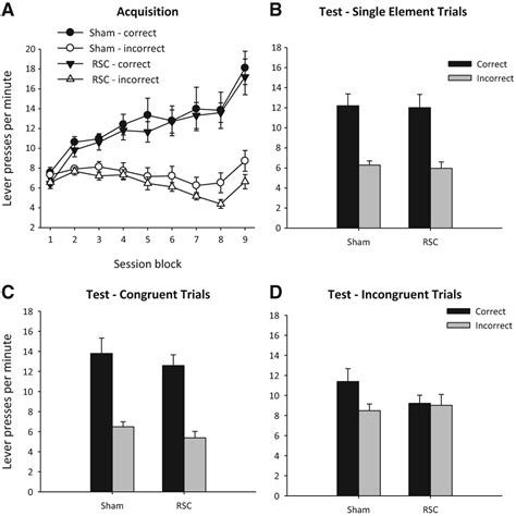 A Novel Role For The Rat Retrosplenial Cortex In Cognitive Control