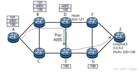Segment Routing Mpls介绍段路由 Csdn博客
