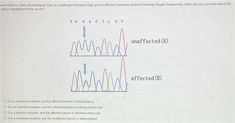 Answered Own Below Is Dna Chromatogram From An Unaffected Individual