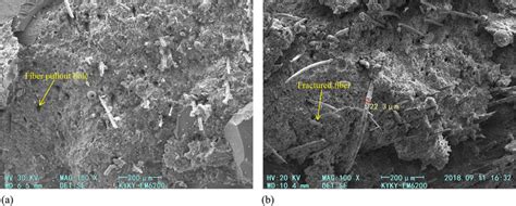 Microstructures Of Cementitious Composites A Ns 00 B Ns 15