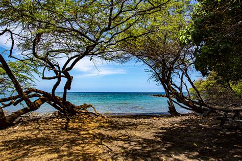 Best Picnic Spots On The Kohala Coast Kohala Coast Properties