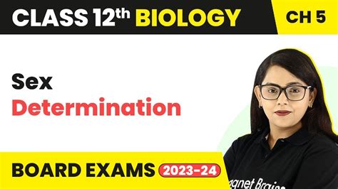 Class Biology Chapter Sex Determination Principles Of Inheritance Variation