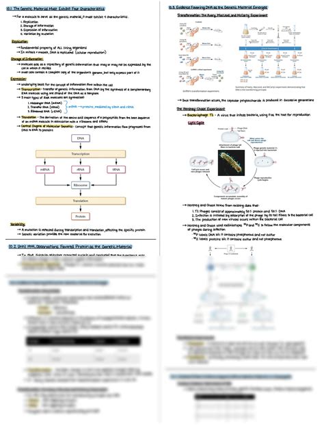SOLUTION Chapter Dna Structure And Analysis Studypool