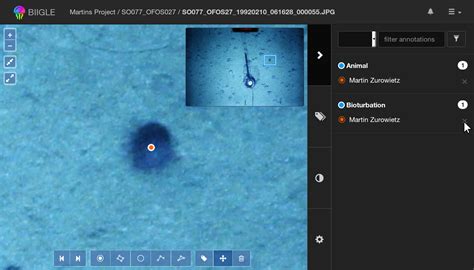 Editing Image Annotations BIIGLE