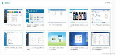 JAVAC C NET 各种项目管理系统源码 可远程帮部署 c web项目管理源码 CSDN博客