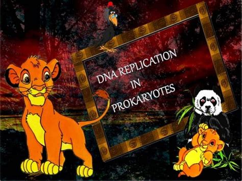 Dna Replication Eukaryotes Pptx