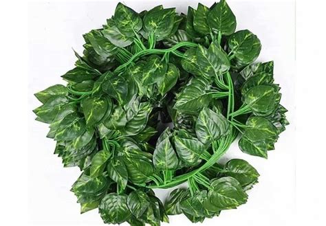 Plastic Artificial Creeper Decoration Purpose At Best Price In New Delhi