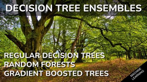 Decision Tree Ensembles Compared Ernesto Garbarino