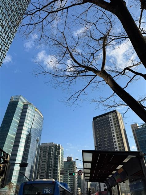 새해 일상 겸 다짐 잘 살기 위해 노력하는 중 네이버 블로그