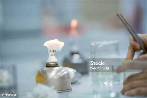 의료 실험실에서 랩 작업자 테스트 랩을 닫습니다 연구 과학자 의학 개발 및 화학 연구 Stem 주제에 대한 스톡 사진 및 기타