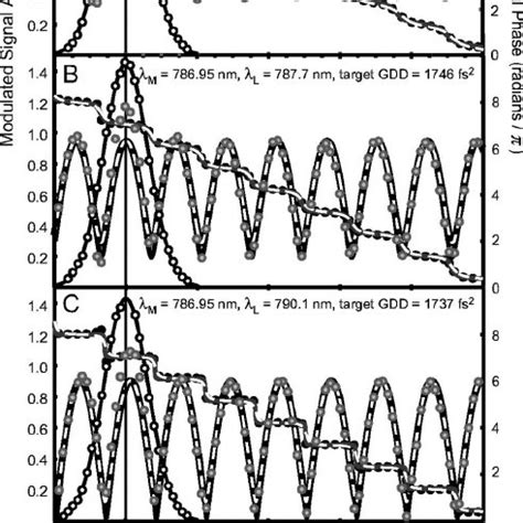 Schematic Diagram Of The Experimental Setup For Phase Modulation PM Download Scientific