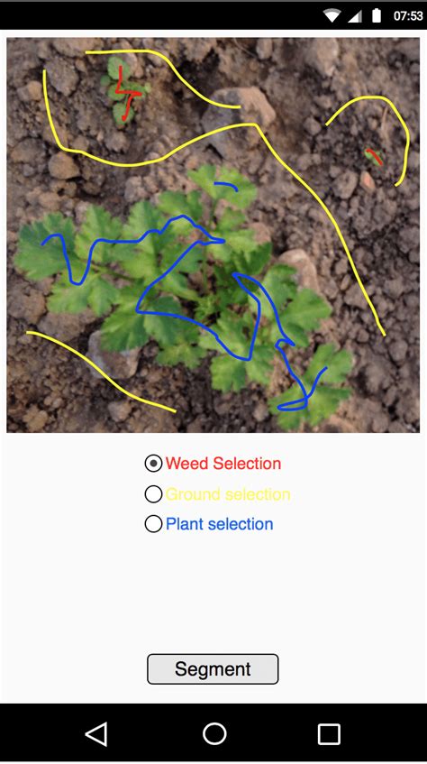 Semi Automated Data Input Interface Download Scientific Diagram
