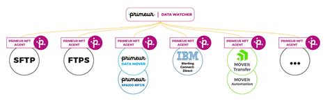 A Unique Multivendor Solution For Dataflow Monitoring And Reporting