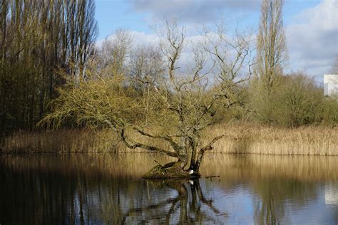 Nature Reserve Spotlight Brandon Marsh Exploration Journal