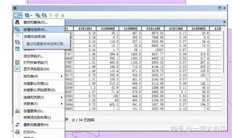 Arcgis基础编辑 属性表的基础操作3 知乎