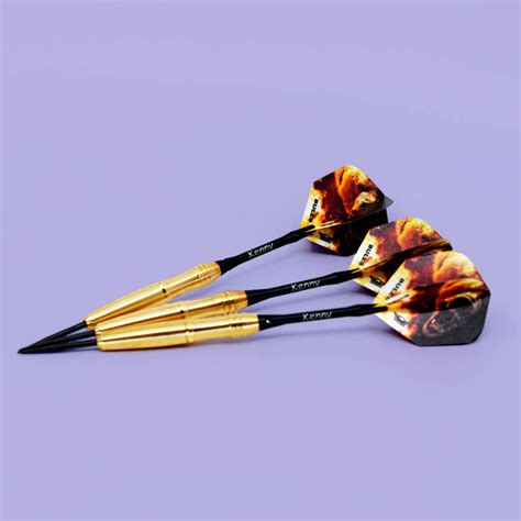 Dartpfeile Mit Personalisierter Gravur Steel 22 G Dartset