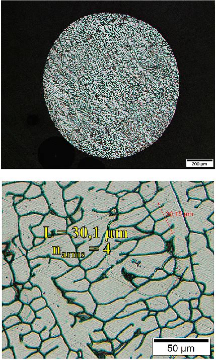 Microstructure Of Gas Cooled Particle Collected At Z 65 M Download Scientific Diagram