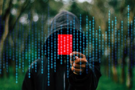 Qué Son Los Exploits Y Cuales Son Sus Vulnerabilidades