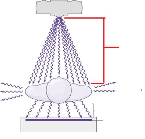 Radiology Flashcards Quizlet Radiology Flashcards Quizlet