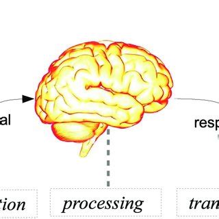 Path Of The Signal And Its Features Download Scientific Diagram