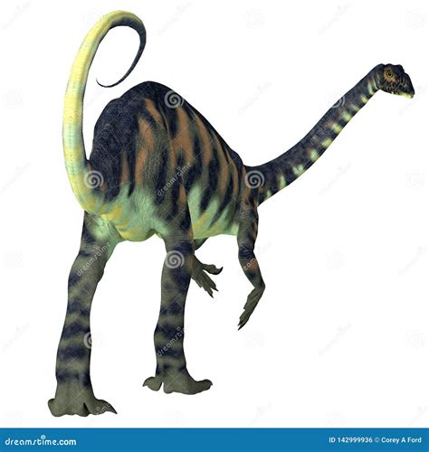 Massospondylus Dinosaur Running From The Jurassic Age Stock Image