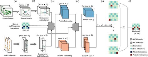figure 1 from prediction of lncrna protein interactions based on kernel