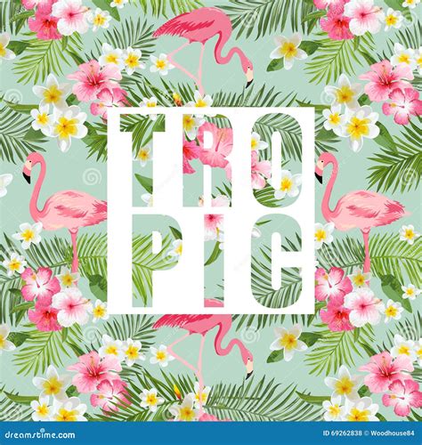 Flamingo Background Design Tropical Flowers Illustration Fashion