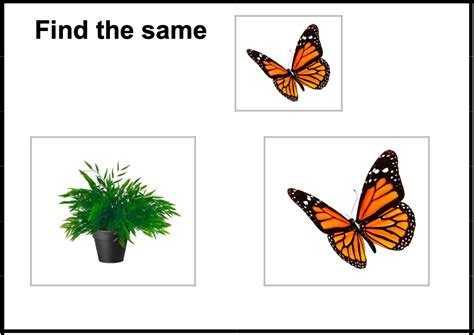 Complete Guide To Matching Skills Speech Therapy And Aba