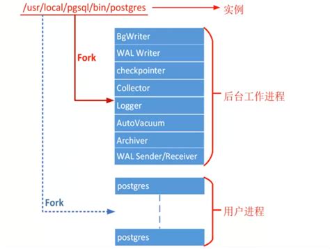 Postgresql学习笔记（二）：物理结构、逻辑结构 Csdn博客