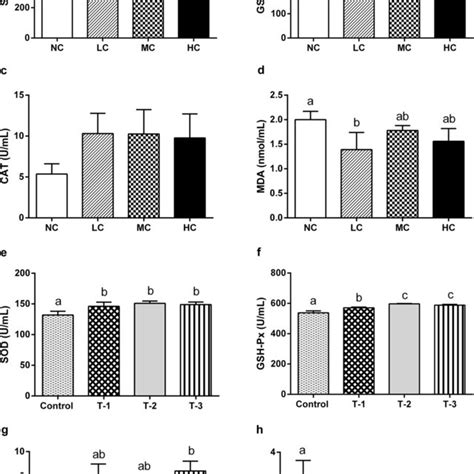 Effect Of Bacillus Strain Dietary Supplementation On Antioxidant Download Scientific Diagram