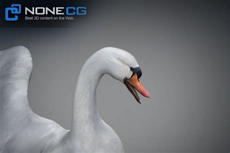 Animated Swan Animation Game Textures Landscape Poster