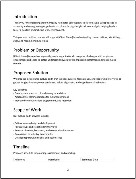 Culture Audit Proposal Free Template