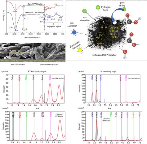 Oppbiochar Adsorbent Characterization By Ftir Sem And Xrf With