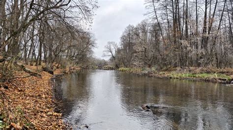 Deciduous Trees And Shrubs Grow On The Grassy Banks Of The River And