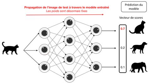 Illustration Schématique De La Prédiction Effectuée Par Un Modèle