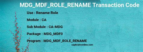 MDG MDF ROLE RENAME SAP Tcode For Rename Role
