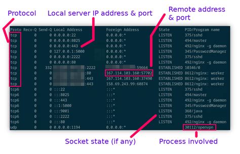Netstat Command Explained Engineering Concepts