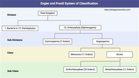 What Is Plant Taxonomy Identification Classification And Nomenclature Microbiology Note