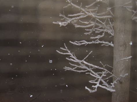 Img Heather Bauer Flickr