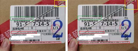 Experience Super Resolution Gan Srgan With Pytorch