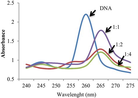 Spectral Shift In The Uv Spectrum Of Dna After Interaction With