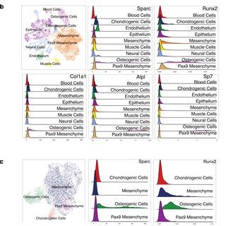 Spatial RNA Sequencing SpRNA Seq For The In Situ Resolution Of The Download Scientific