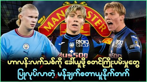 ဟာလန်းလက်သစ်ကို ခေါ်ယူဖို့ စတင်ကြိုးပမ်းမှုတွေ ပြုလုပ်လာတဲ့ မန်ချက